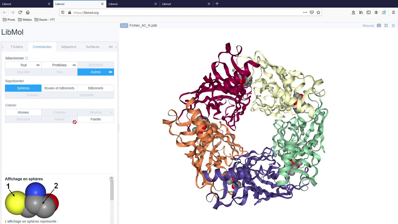 Curare et récepteur à acétylcholine - YouTube