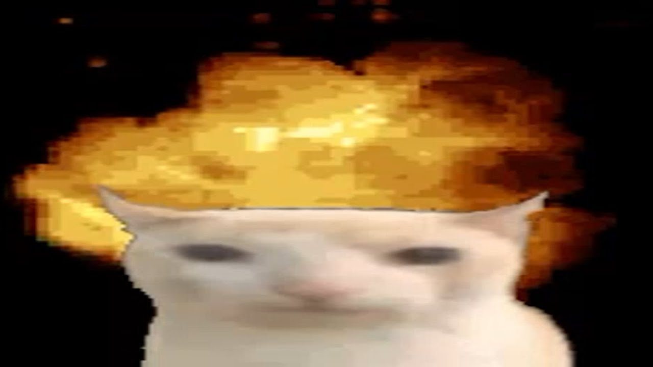 Cat Live Or Cat Explode Pt 2 Youtube