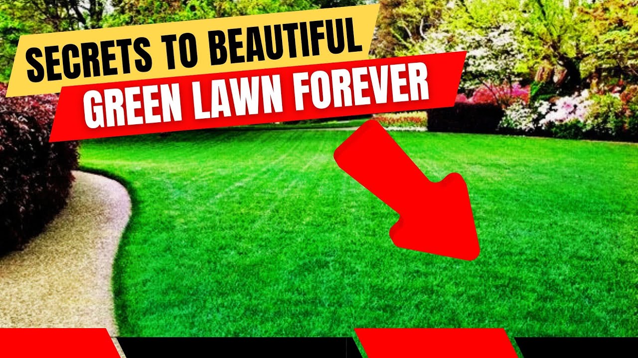 7 Secrets To Keep Your Lawn Always Green (Wow, Just wow) - YouTube