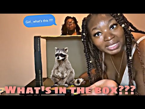 What’s in the box challenge!!!/w Liz 📦📦📦