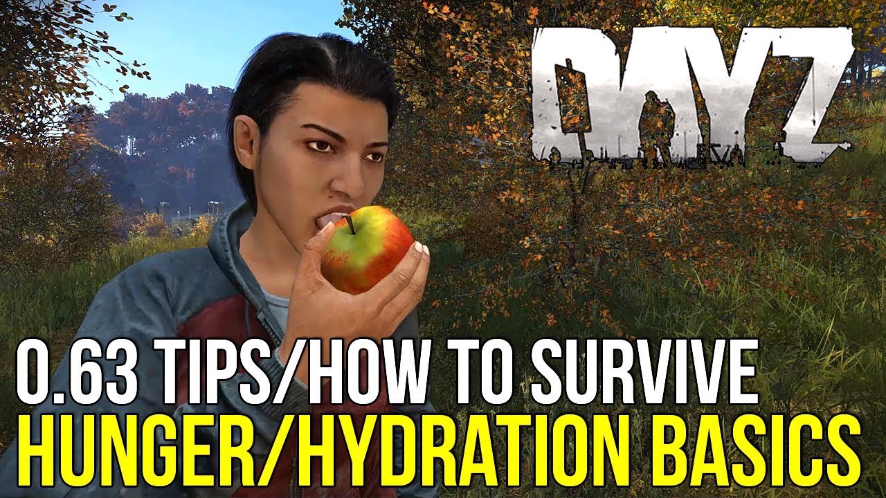 How To Survive #DayZ 0.63 & Beyond! ~ Hunger/Hydration Basics - YouTube