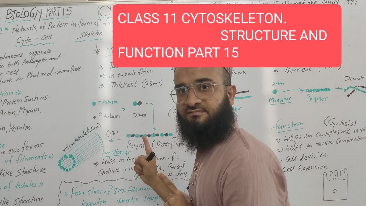 CLASS 11 || CYTOSKELETON STRUCTURE AND FUNCTION || CELL BIOLOGY || PART 15 - YouTube