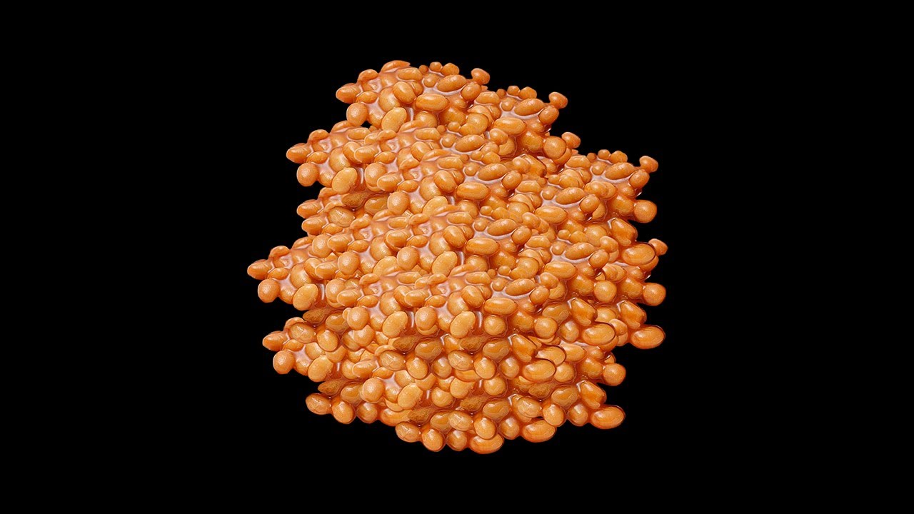 BEANS - YouTube