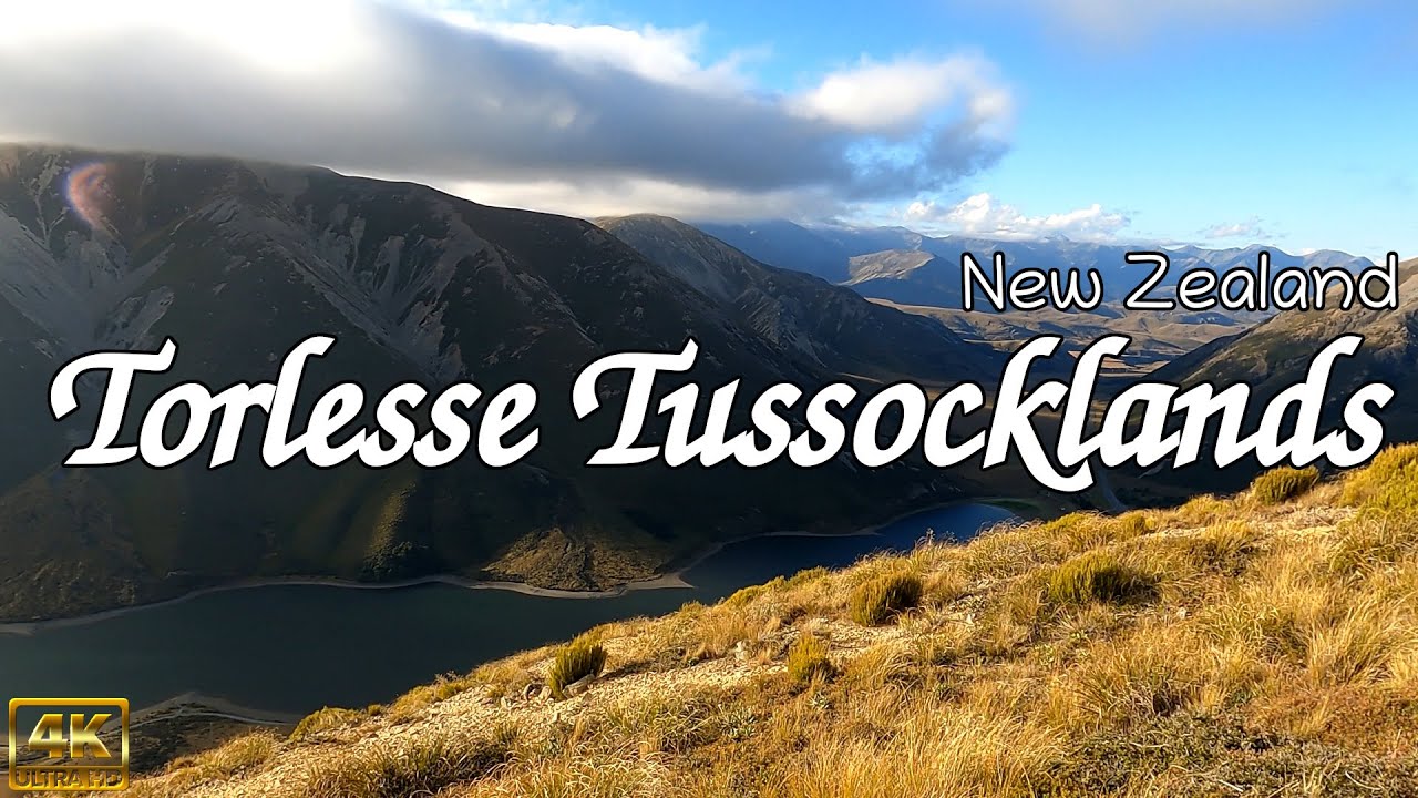 Torlesse Tussocklands Park - Arthur's Pass | New Zealand Hiking | 4K ...