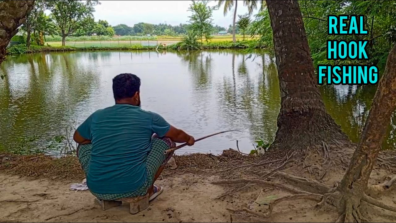Real hook fishing || Tilapia fish catching in village pond ...