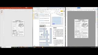 Plant Cell - Homework Review Worksheet / Test Prep (by Tangstar Science)