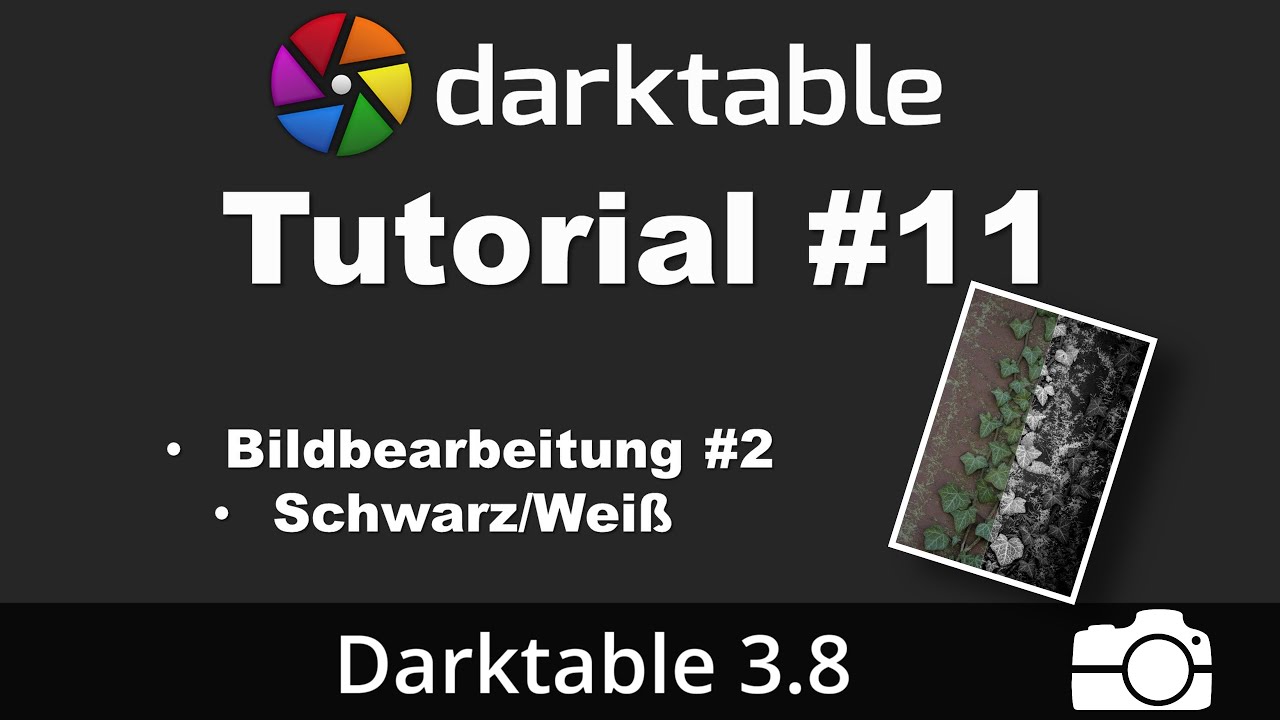Darktable Tutorial #11: Schwarz/Weiß Bildbearbeitung | deutsch ...