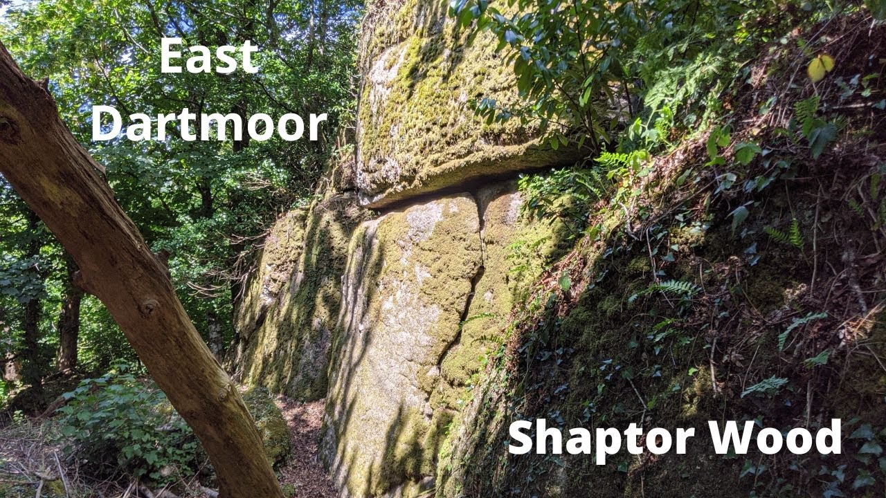 East Dartmoor - Some Tors in Shaptor Wood - YouTube