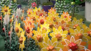 The Edible Blooms Chocolate Garden