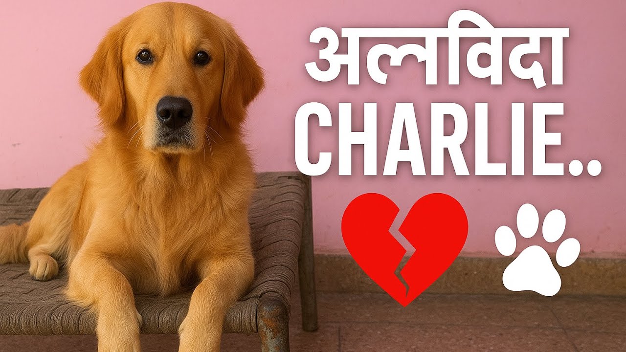 ये vlog बनाना सबसे मुश्किल था… अलविदा Charlie | My Last Goodbye To ...