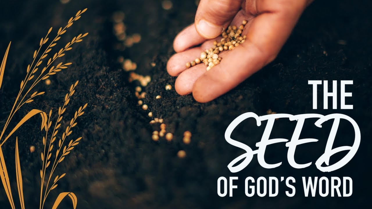 Winning Wednesday 7P | The Seed of God's Word #1 | 10/19/22 - YouTube