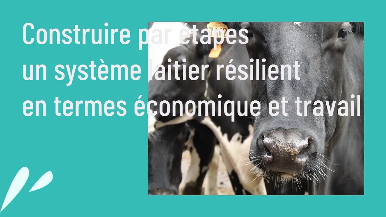 Construire par étapes un système laitier résilient en termes ...