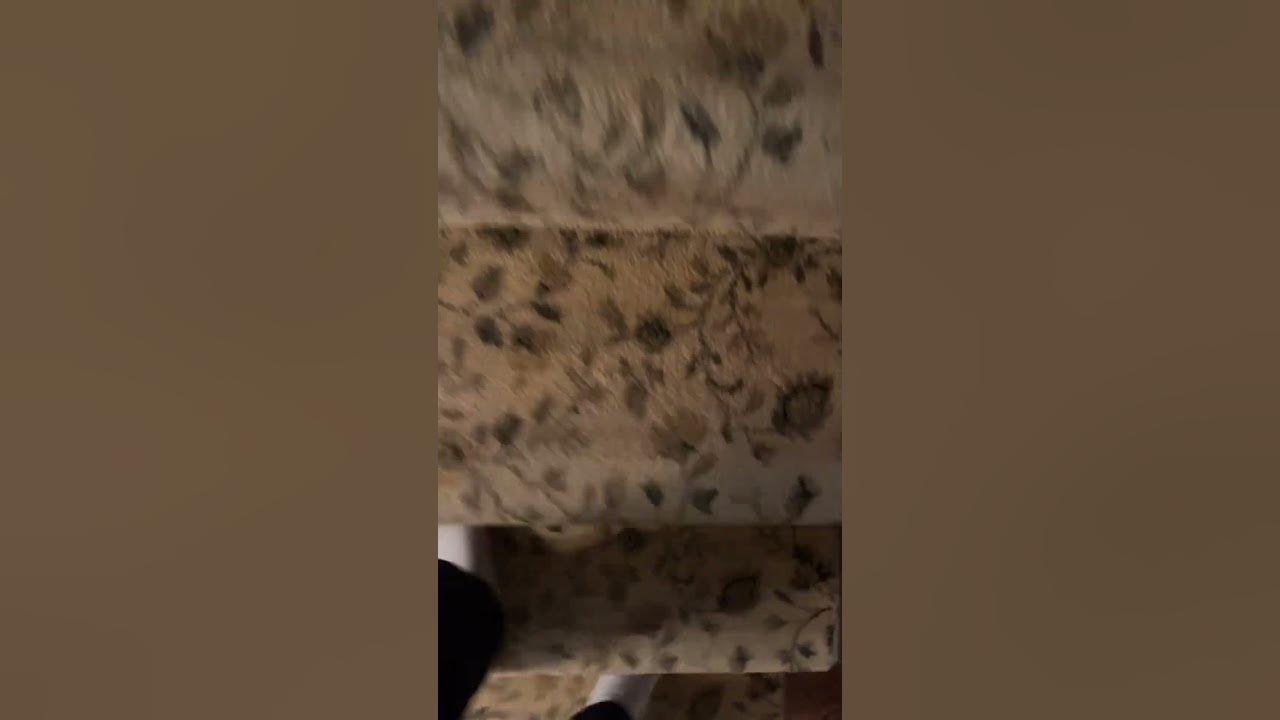 Perfect loop 👌 #loop #funny #filter #satisfyingloop #perfectloop #endlessloop - YouTube