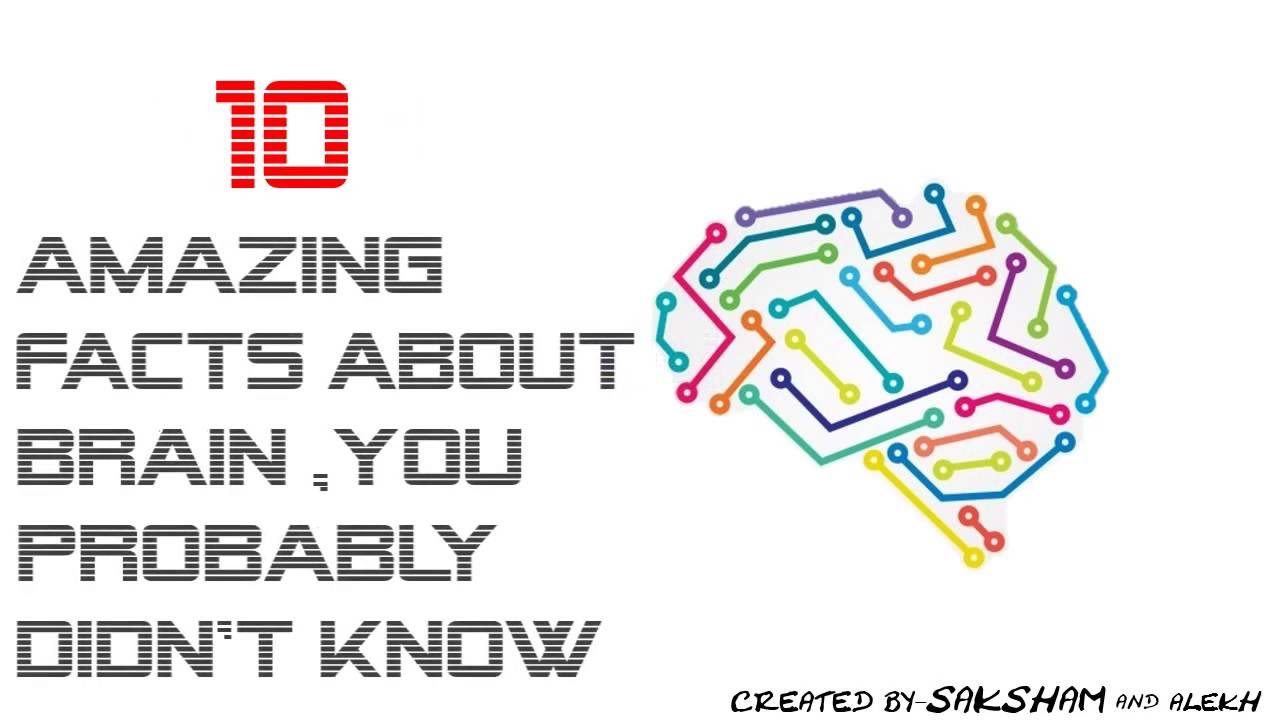 10 amazing brain facts , you probably don't know! - YouTube