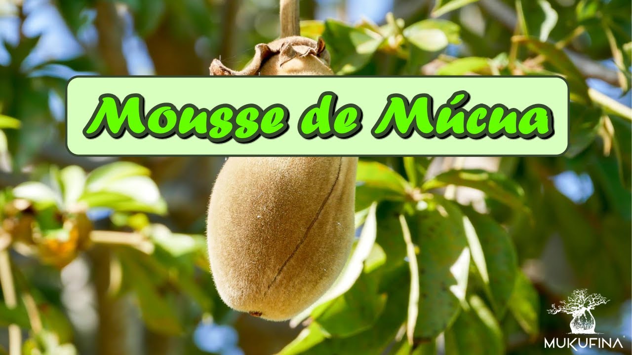 Mousse de Múcua (sugestão de como fazer) - YouTube
