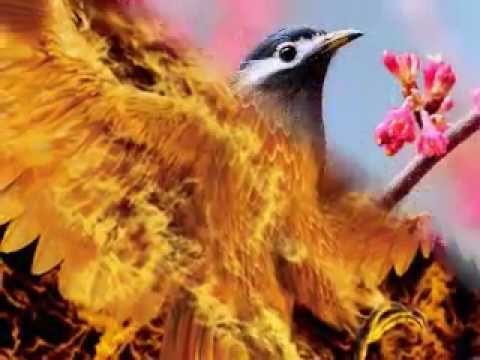 ΣΤΡ ΔΙΟΝΥΣΙΟΥ ΒΡΕΧΕΙ ΦΩΤΙΑ ΣΤΗΝ ΣΤΡΑΤΑ ΜΟΥ.mpg - YouTube