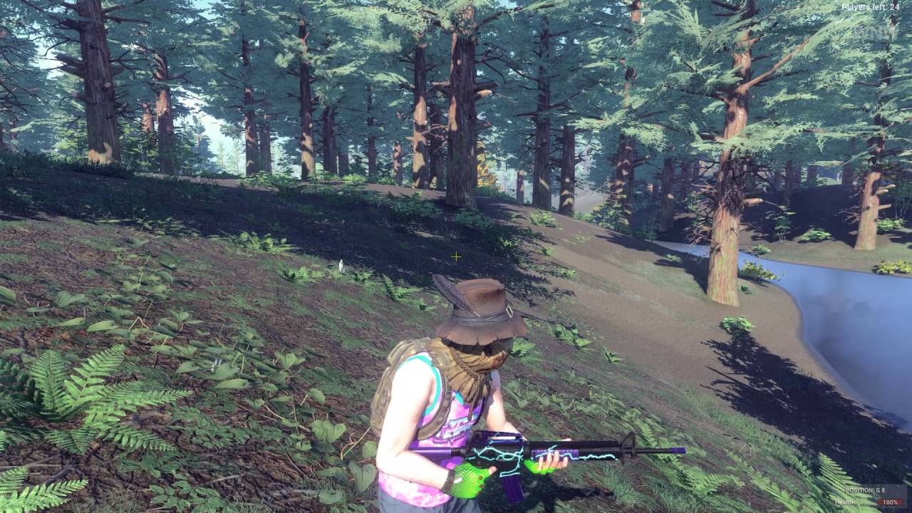 H1z1 Lightning AR-15 Skin Showcase - YouTube