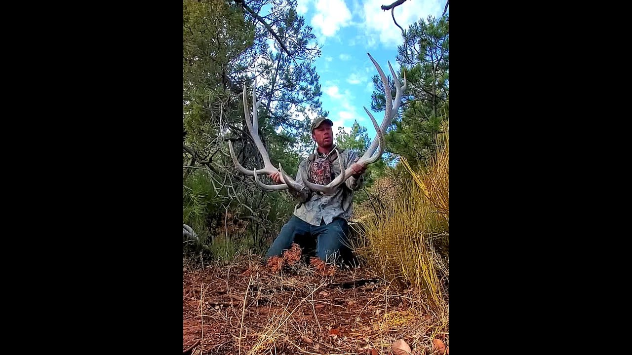 Elk Shed Hunt, BIGGEST SET of the Year. - YouTube