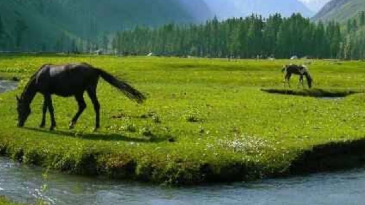 History of Wardag pashtun tribe\\Historical places12 - YouTube