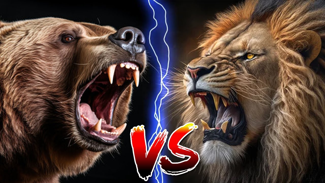 Grizzly Bear vs Lion: Who would win in a fight? - YouTube