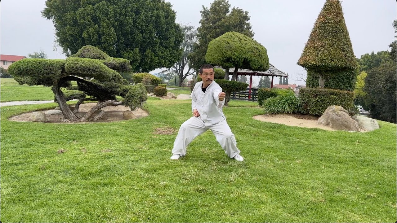 Eight Section Brocade Qigong (Ba Duan Jin): Part Seven - YouTube