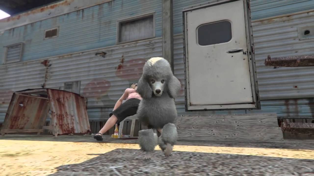 GTA V Poodle Gameplay and Peyote Plant Location RON Alternates Wind ...