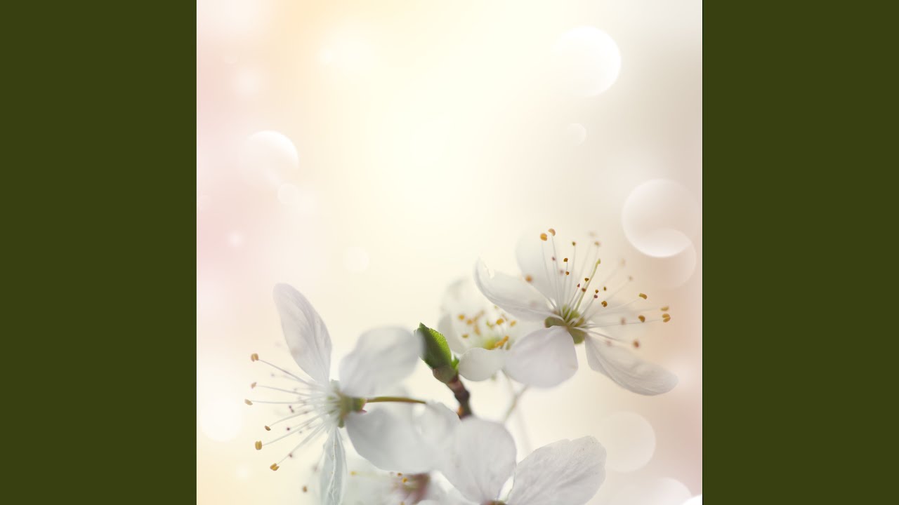 Knowledge of the Void - YouTube