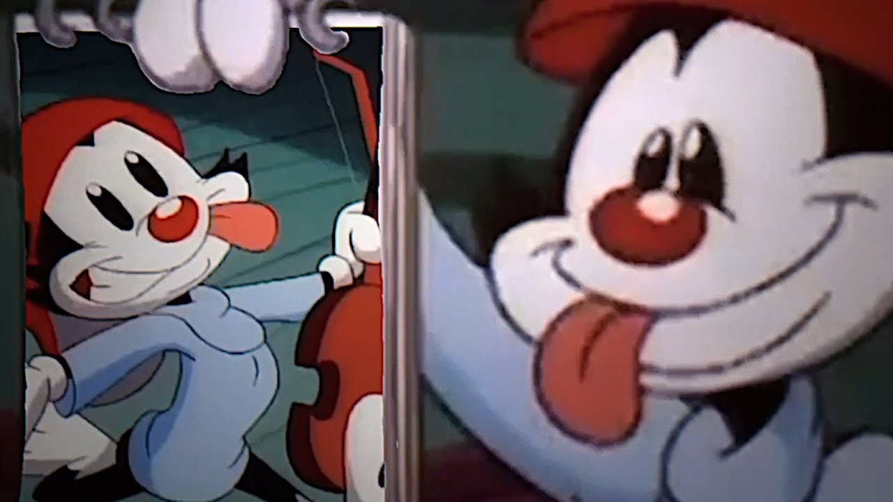 wakko warner || warned you - YouTube