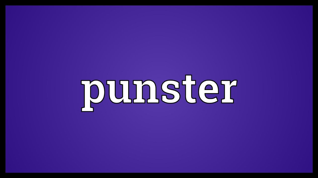 Punster Meaning - YouTube
