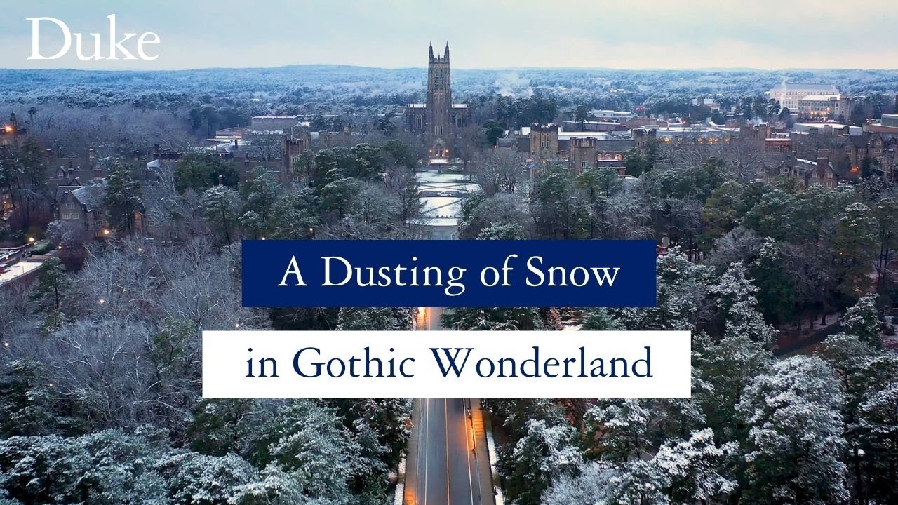 Duke Gothic Wonderland