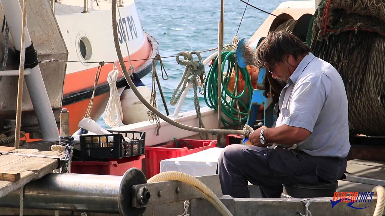 Venezia Lines - Your High Speed Ferry Operator - YouTube