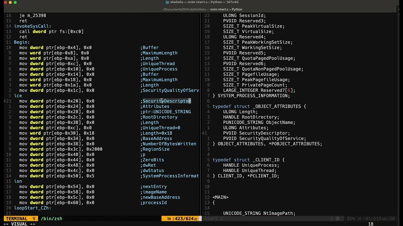ShellSilo: Example of NtQuerySystemInformation, NtOpenProcess, NtCreateThreadEx - YouTube
