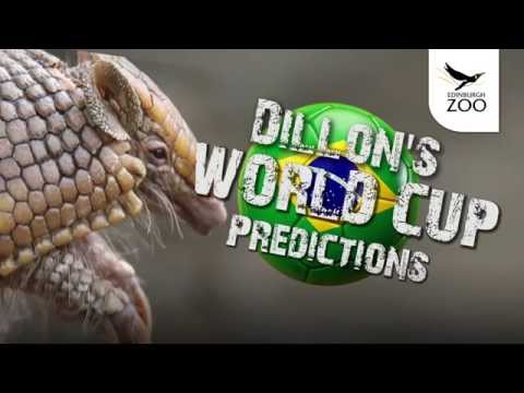 Switzerland Vs France - Dillon The Armadillo's World Cup Predictions