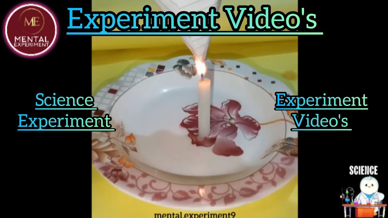 simple experiment | science experiment | easy science experiment ...