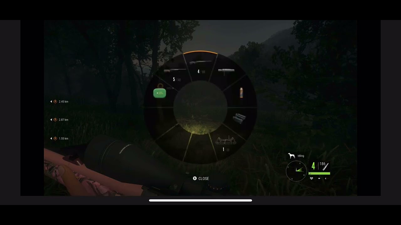 It takes ️ to Tango with a tiger!🐯🐅🤩 - YouTube