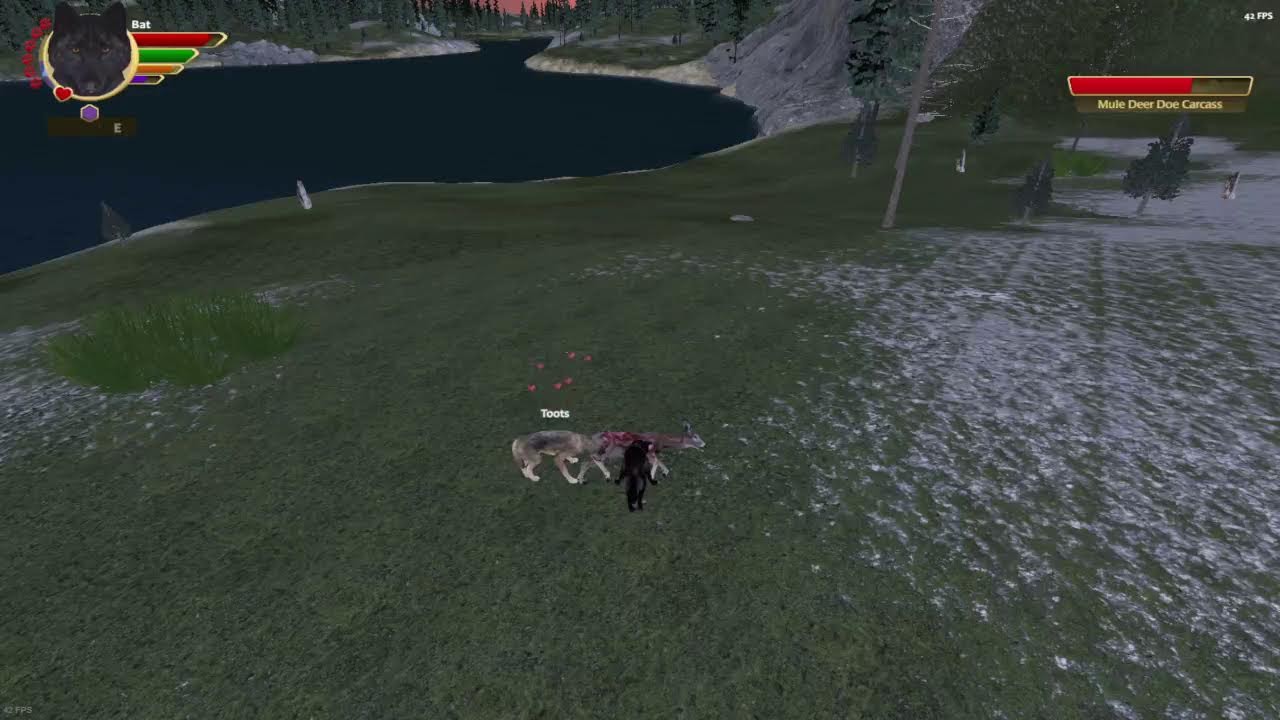 WolfQuest Stream 3 - I'm an Ironwolf !! - YouTube