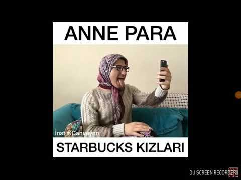 Pelin şu tilki