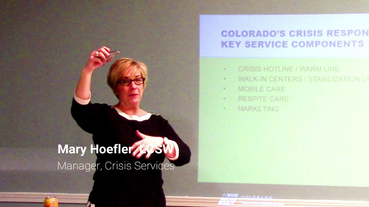Pro Bono Mental Health Mary Hoefler - YouTube