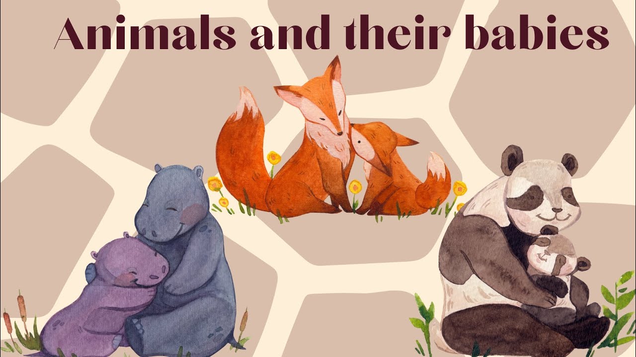 animals and their babies.Kindergarten educational videos. - YouTube