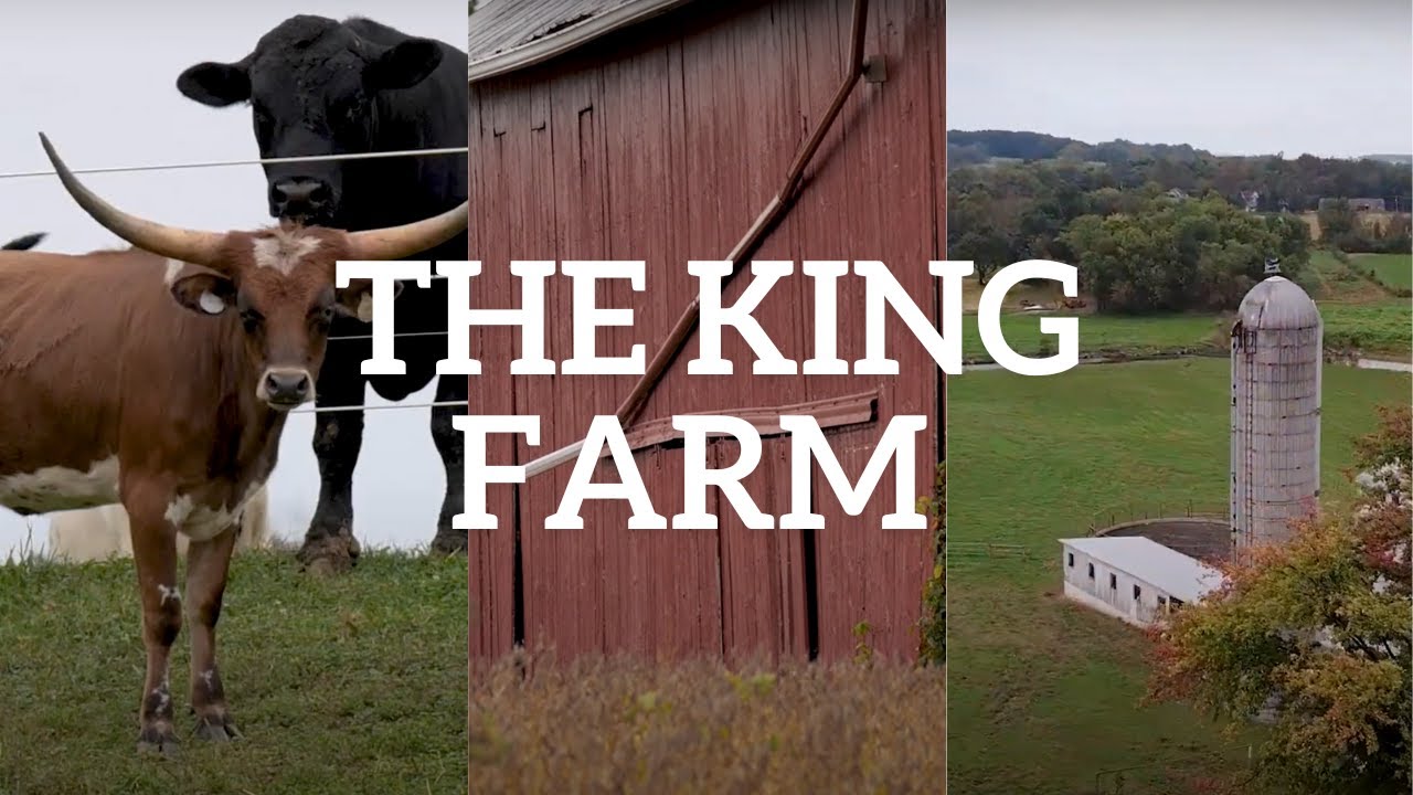 Acres for Auction - The King Farm - YouTube