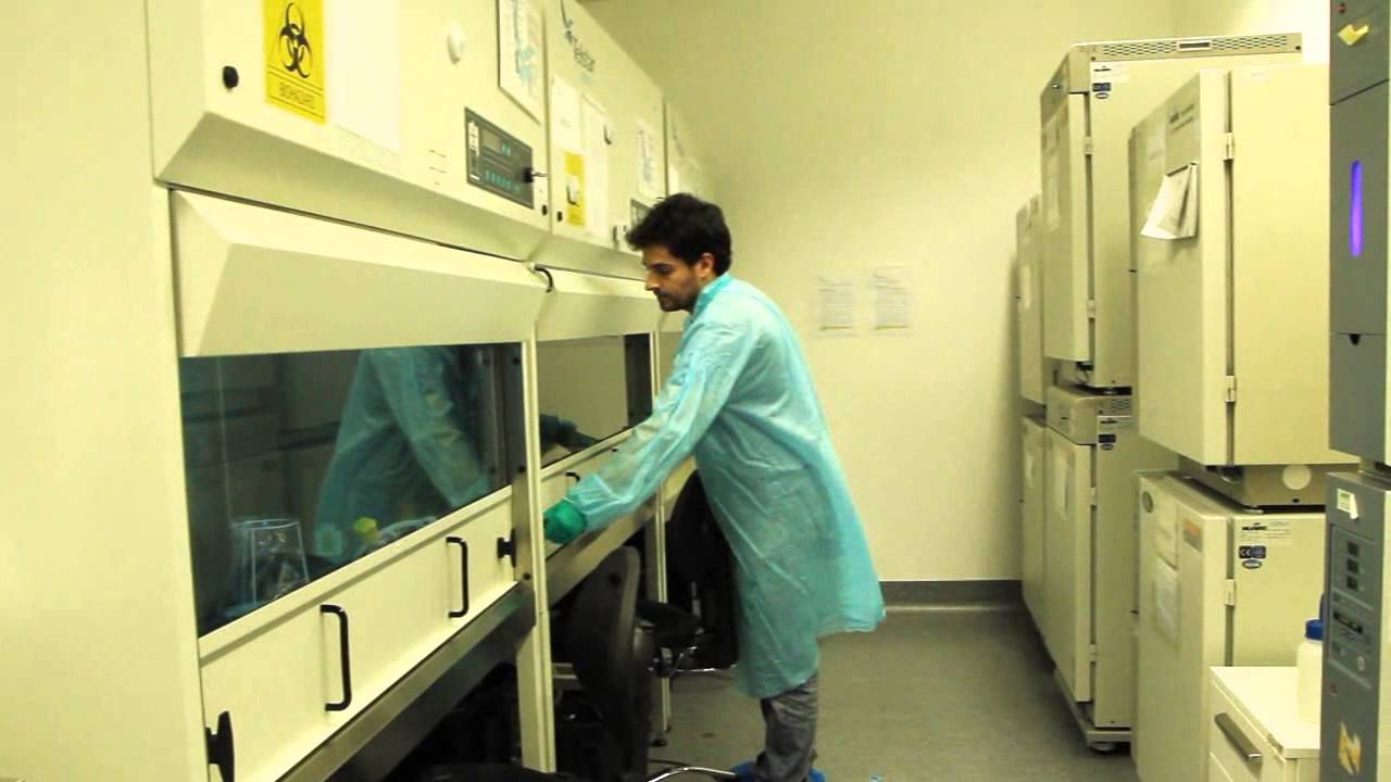 Cell Culture Unit - YouTube
