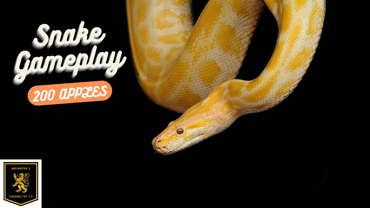 Snake Gameplay (200 Apples) - YouTube