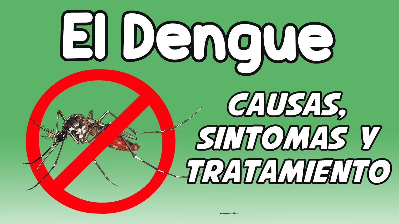 EL DENGUE, Causas, síntomas, diagnóstico y tratamiento - YouTube