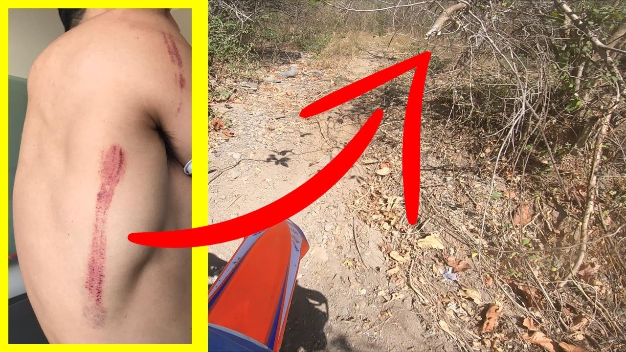 Libre Rio Oratorio 2021 - YouTube