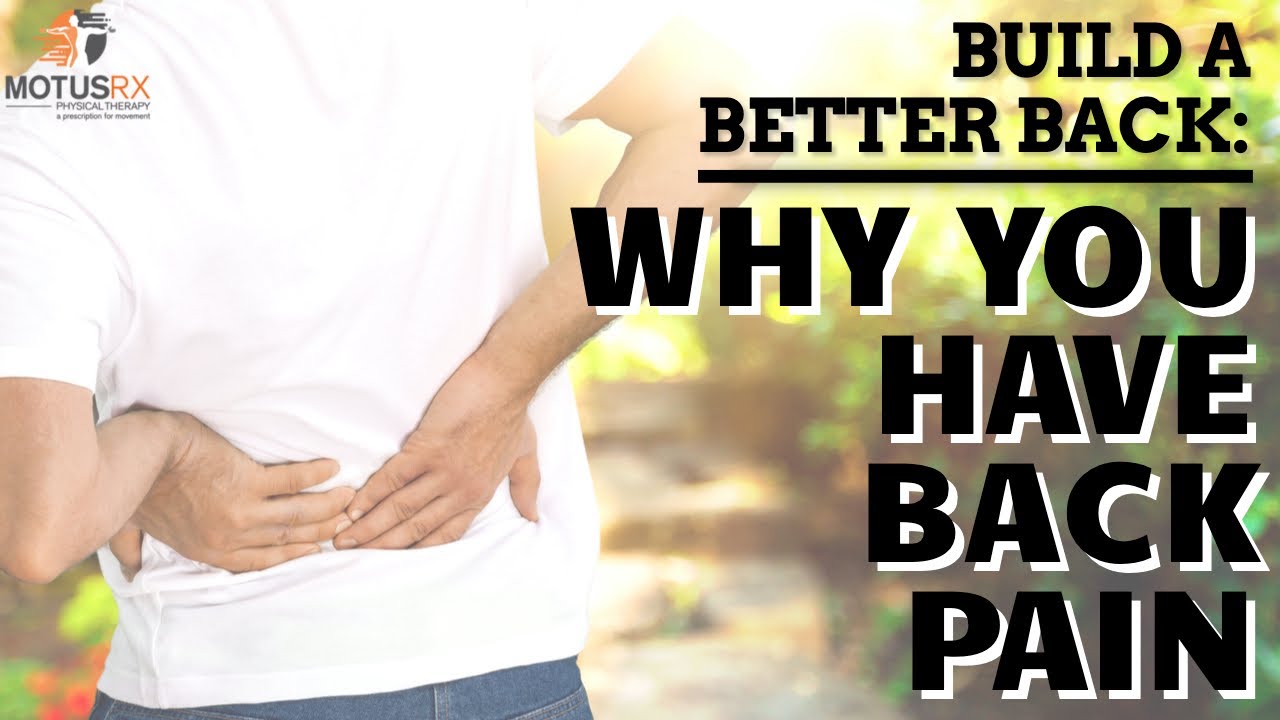 Build A Better Back Why You Have Back Pain YouTube build-a-better-back-why-you-have-back-pain-youtube
