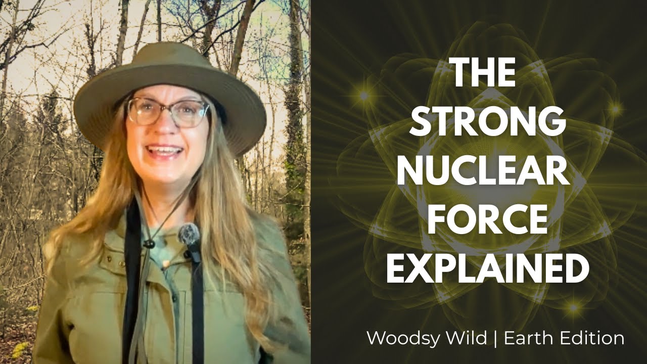 The Strong Nuclear Force Explained | Wonderfully Made — Earth Edition ...