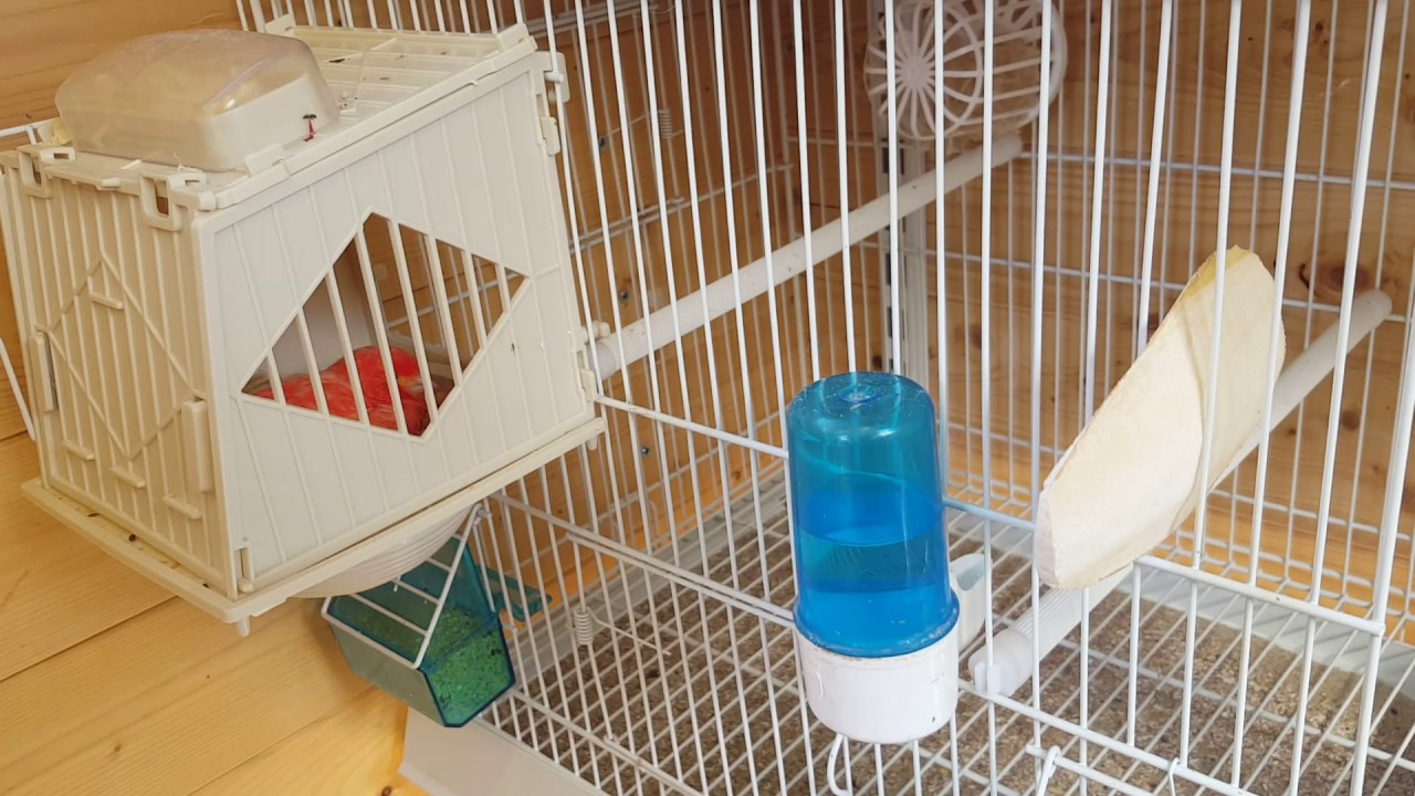 Red Factor Pair 1,2 and 3 ( video 4 ) - YouTube