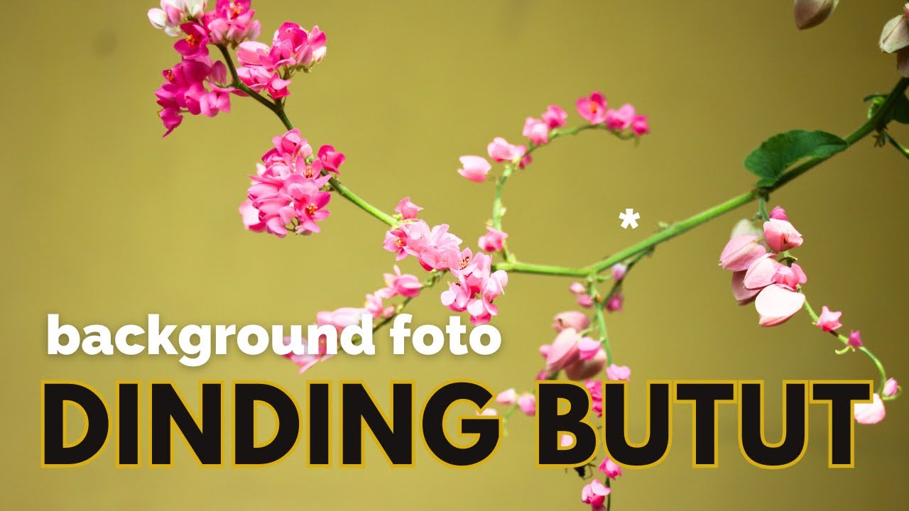 MERUBAH DINDING RUMAH BUTUT JADI BACKGROUND FOTO CANTIK - YouTube