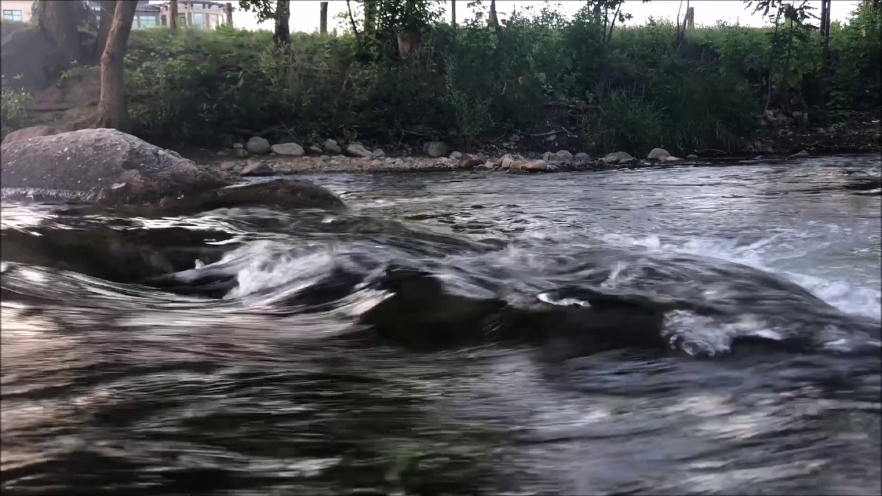 River water flow sound at a creek with Duck Quacks | Sounds to treat ...