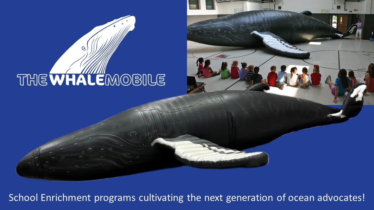 What is The Whalemobile? - YouTube